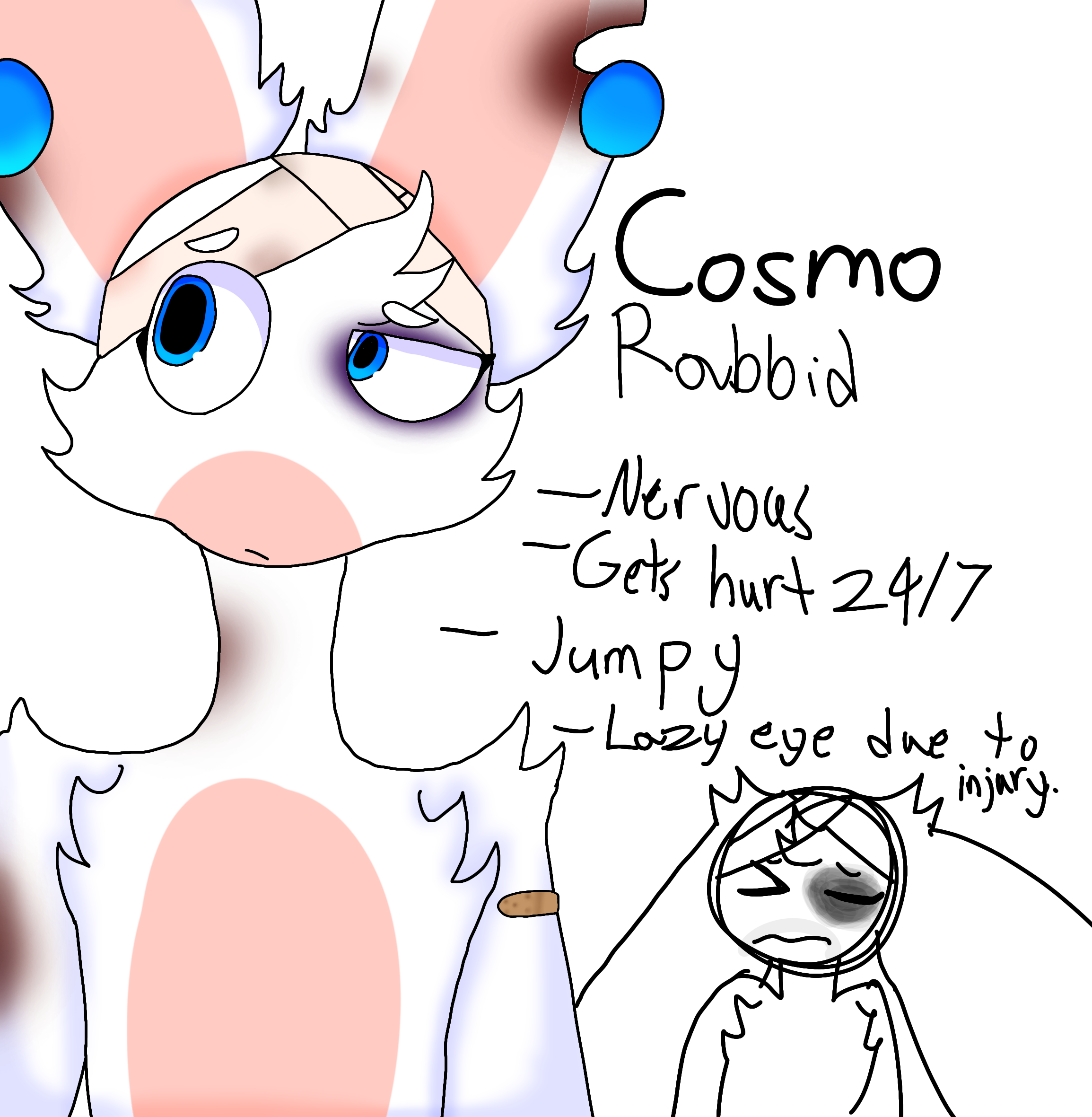 COSMO RABBID (AKA UNLUCKY CRASHPAD) - ibisPaint