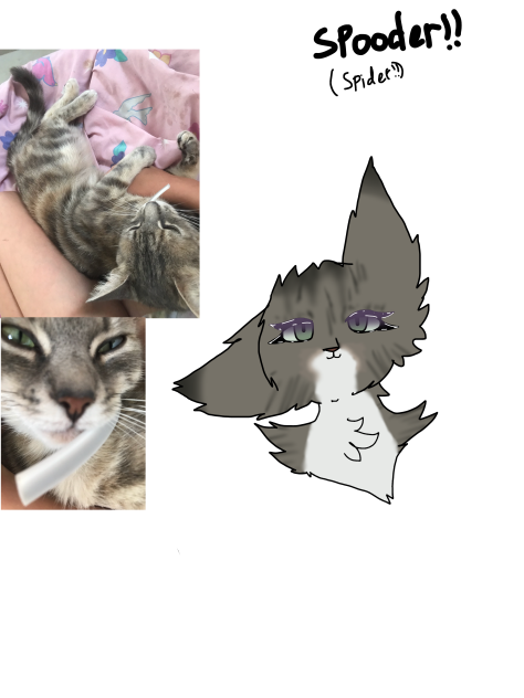 spooder!!! - ibisPaint