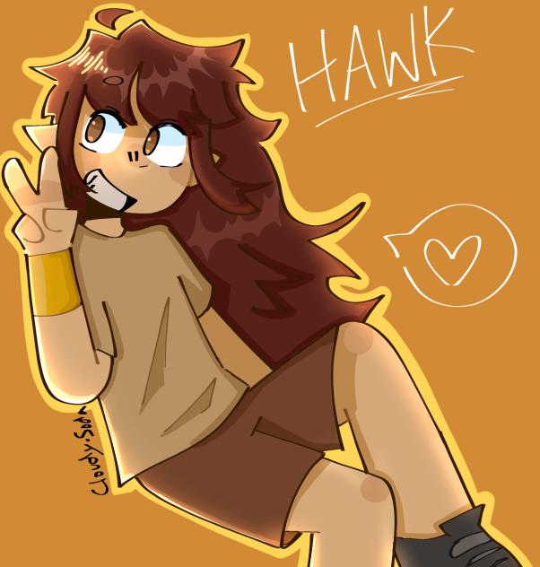 Hawk Remakeeeee - ibisPaint