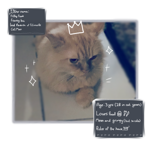 Meet Frank - ibisPaint