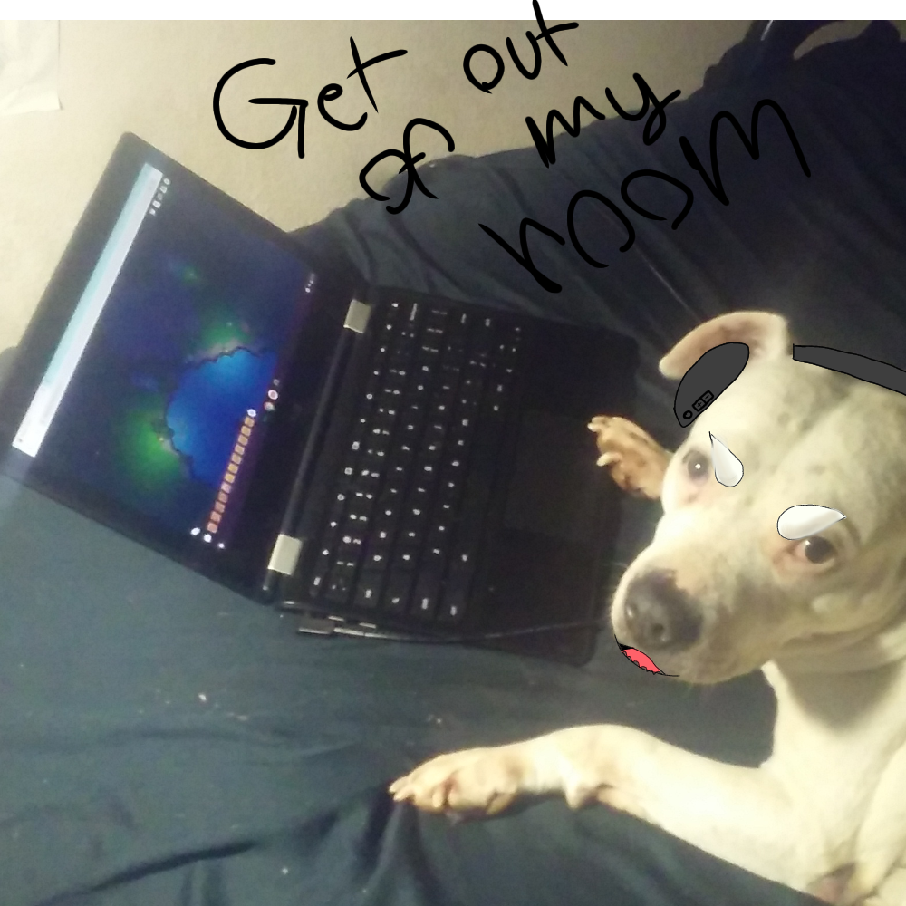 ITS A WILD GAMER DOGGO - ibisPaint