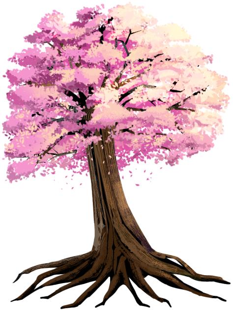 sakura tree - ibisPaint