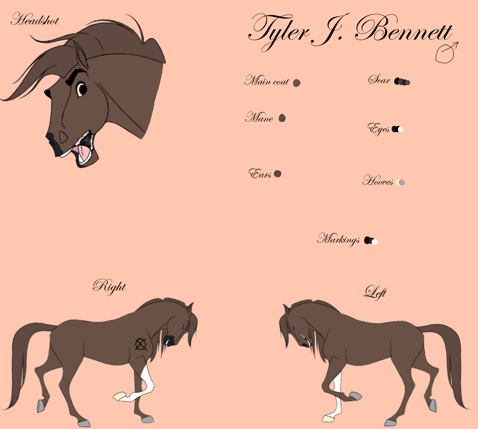 Tyler J. Bennet Reference sheet - ibisPaint