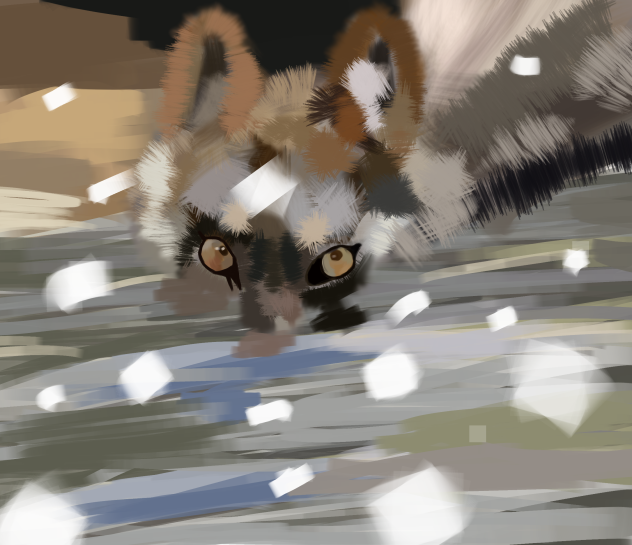 grey wolf - ibisPaint