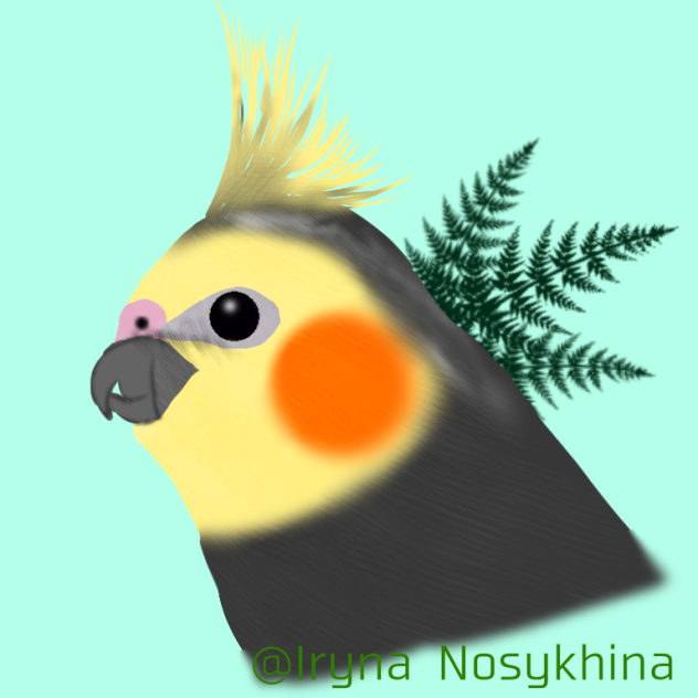 My parrot Kuzya - ibisPaint