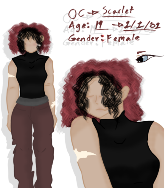 Scarlet mayflower - ibisPaint