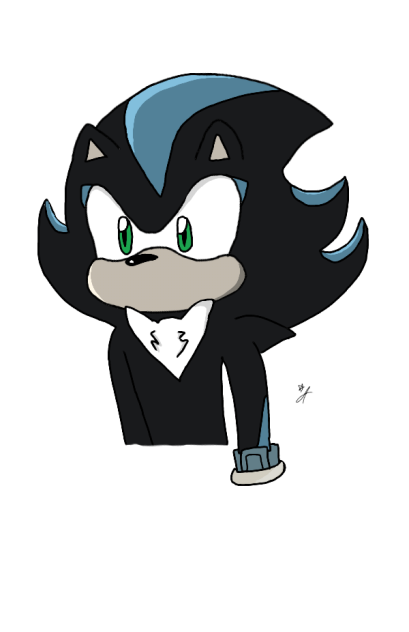 Mephiles the hedgehog - ibisPaint