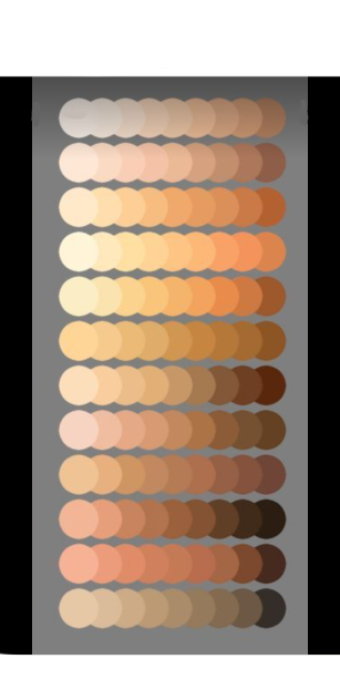 Skin pallet - ibisPaint