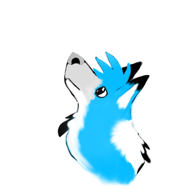 Blue wolf-speedpaint - ibisPaint