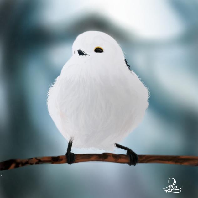 Bird - ibisPaint