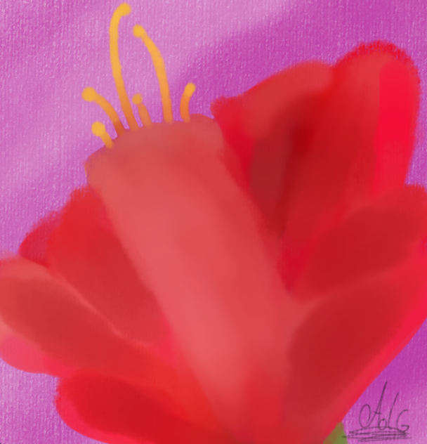 flower - ibisPaint