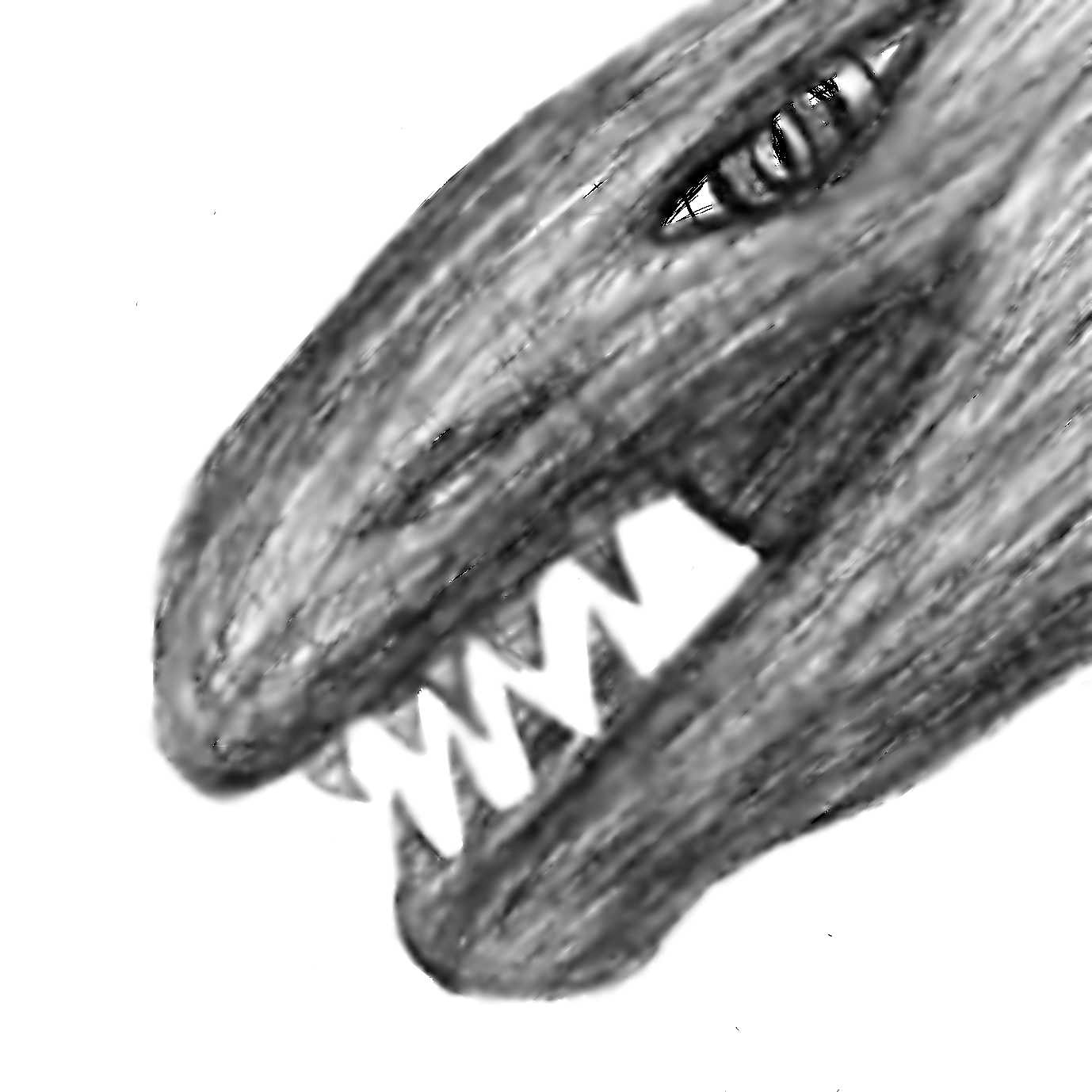 Strange Creatures Follow the Music - ibisPaint