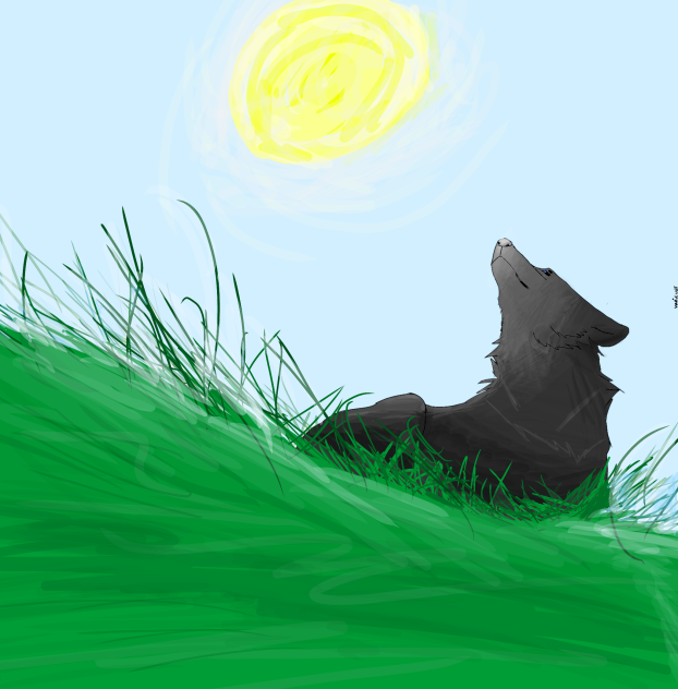 Wolf Artpeice (traced) - ibisPaint