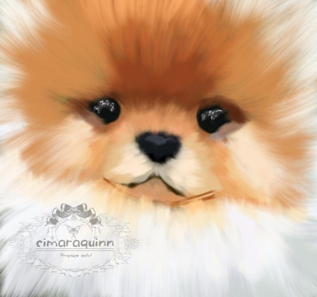 pup - ibisPaint