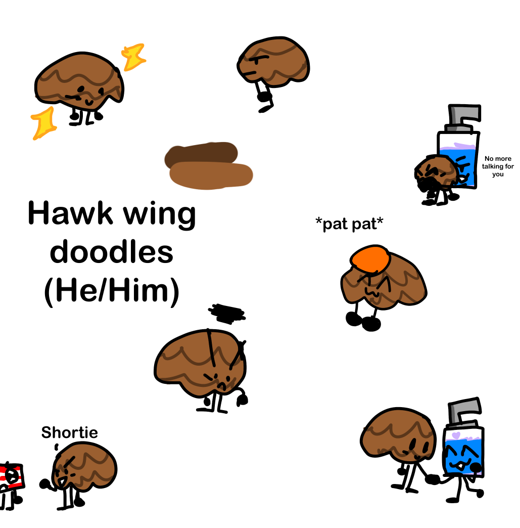 Hawk wing doodles!1! (Very epic) - ibisPaint