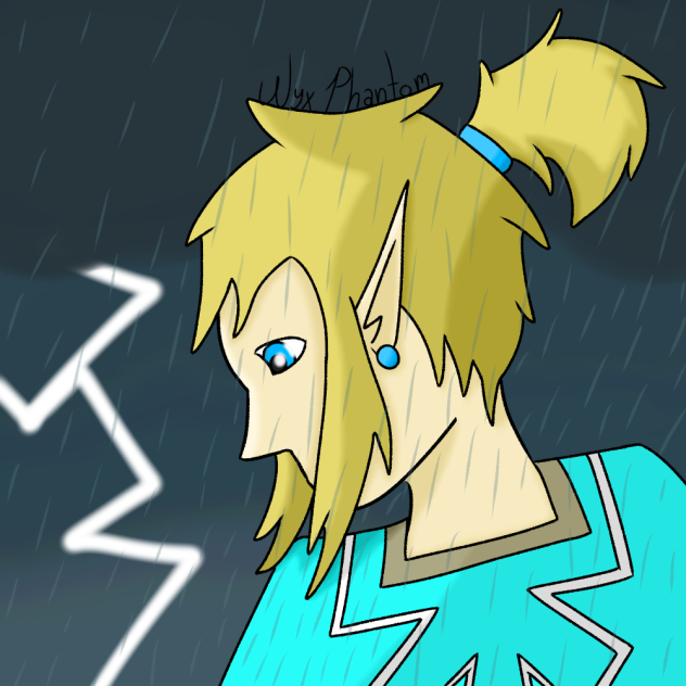 Link (Wild) in a storm - ibisPaint