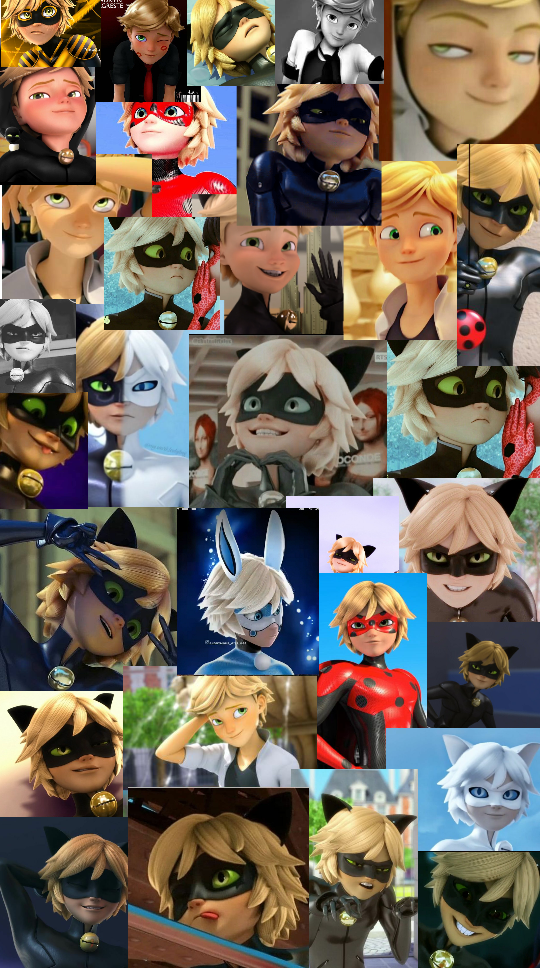 cat noir adrien agreste wallpaper - ibisPaint