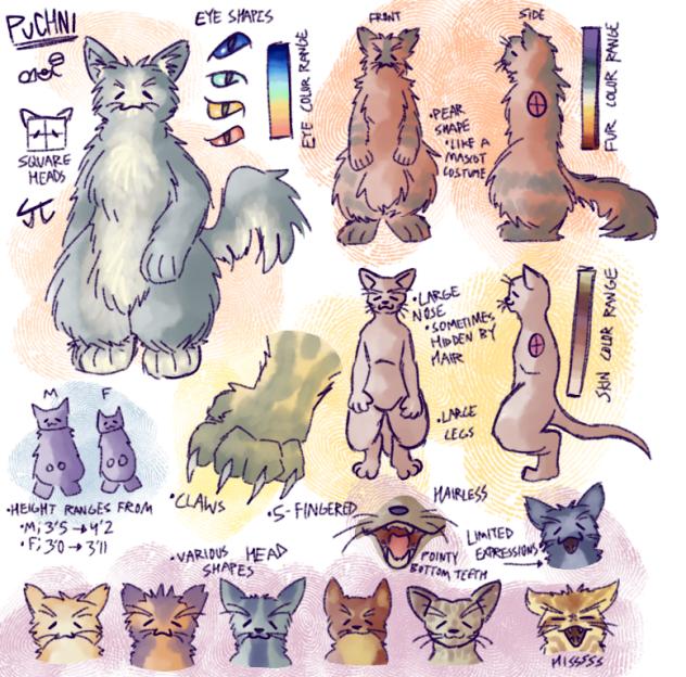 Puchni Species Sheet - ibisPaint