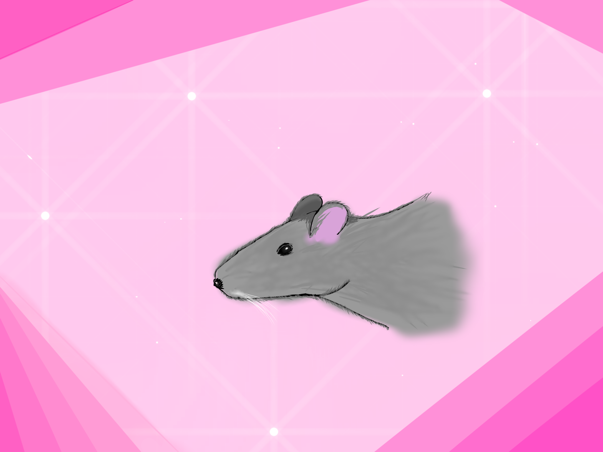 realistic rat (kinda) - ibisPaint
