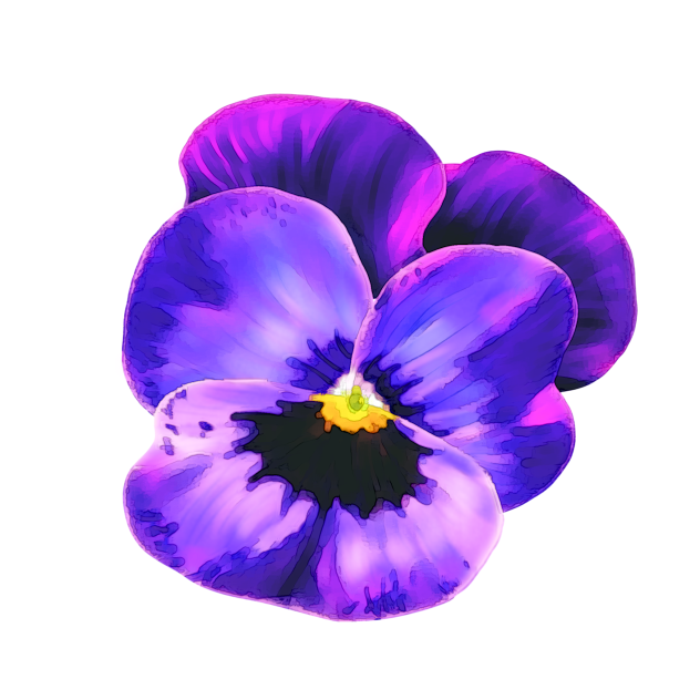 Violet 2nd version - ibisPaint