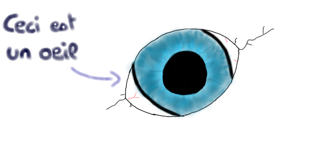 Oeil - ibisPaint