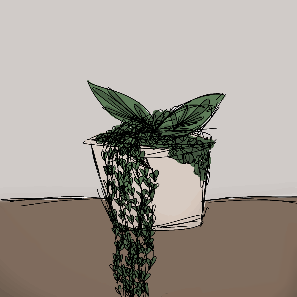 Potted Plant - ibisPaint