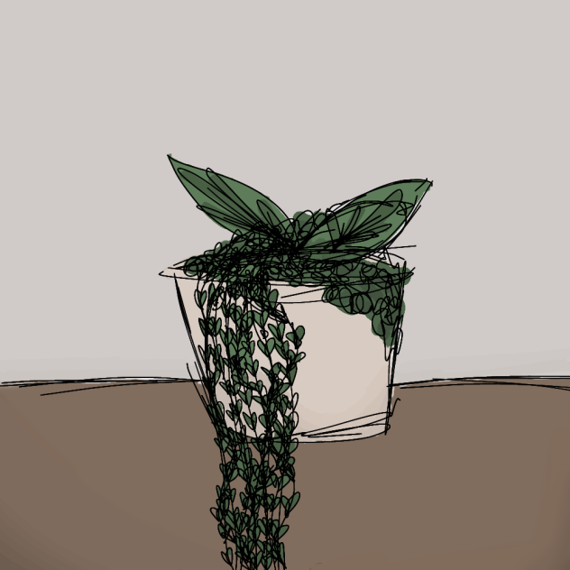 Potted Plant - ibisPaint