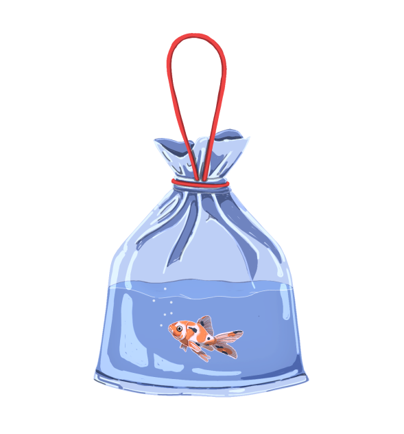 Goldfish 2 - ibisPaint