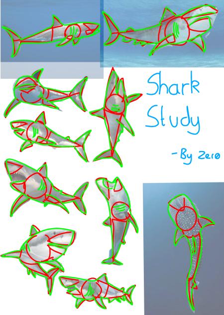 Shark study - ibisPaint