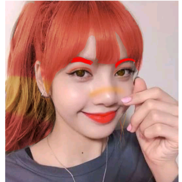 Lía cua Việt Nam - ibisPaint