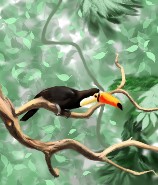 The Cheerful Summer Dream, Happy Toucan - ibisPaint