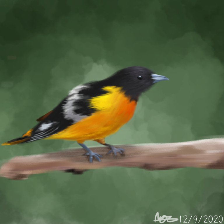 Bird #3 - ibisPaint