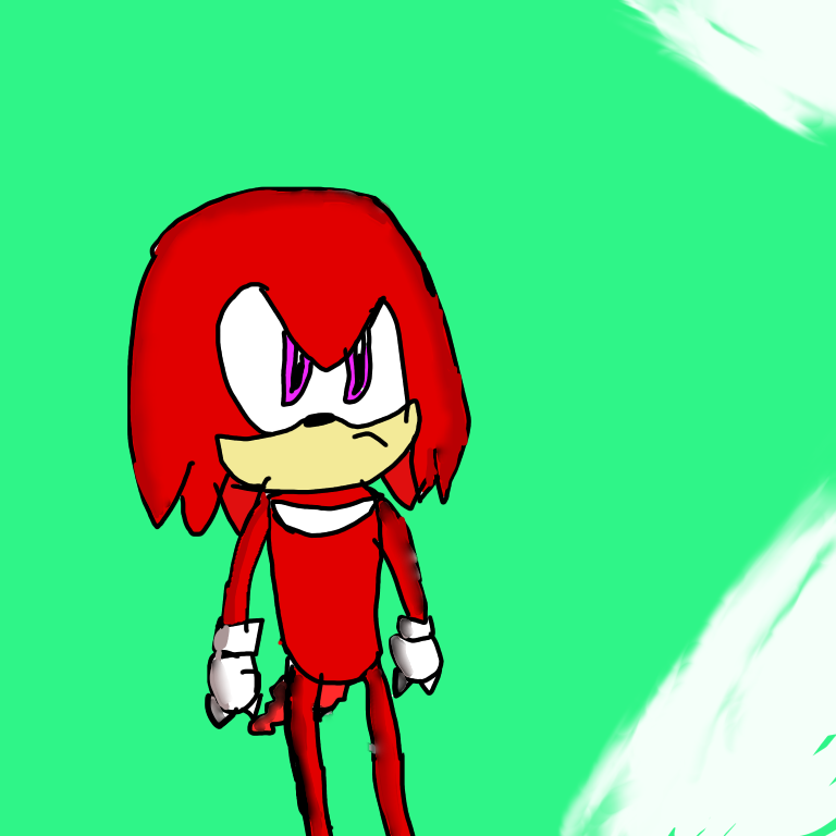 knuckles - ibisPaint