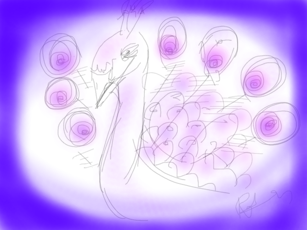 peacock - ibisPaint