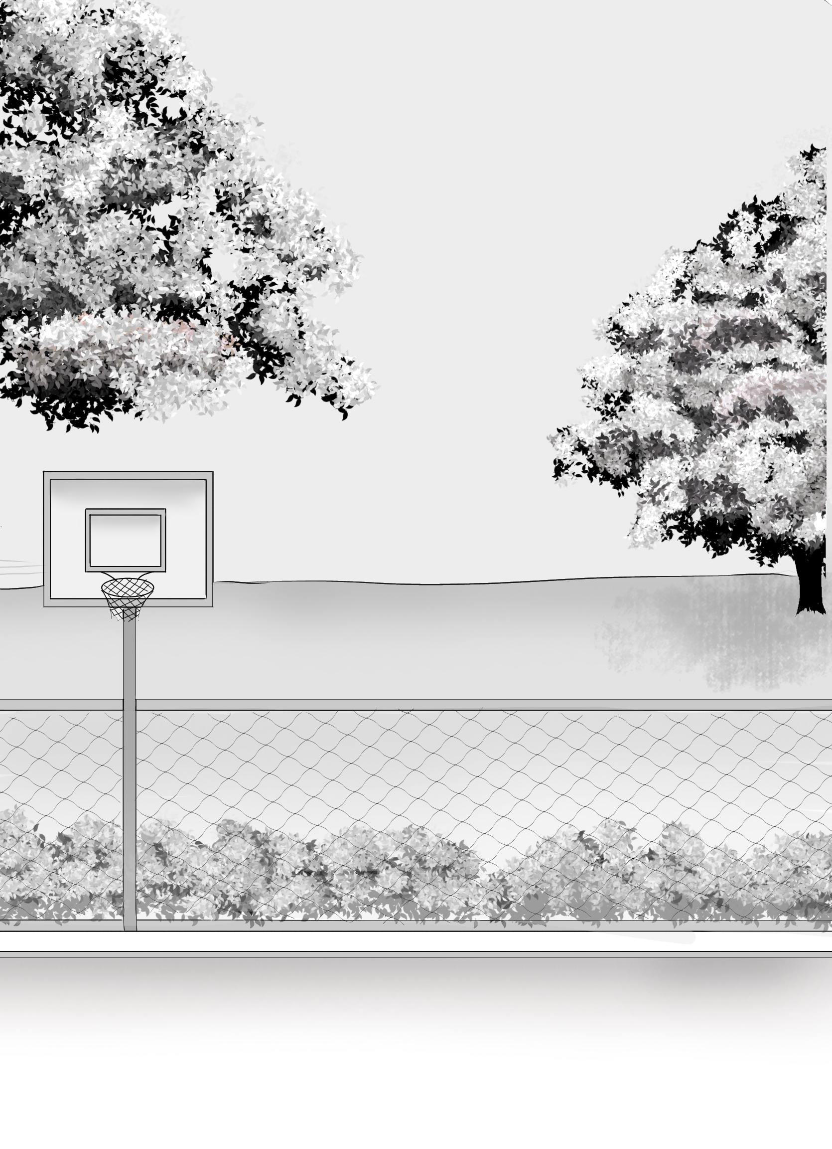 MB 1 Basket - ibisPaint