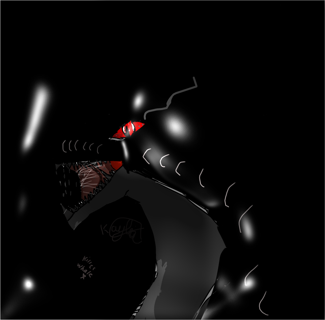 Killer Whale - ibisPaint