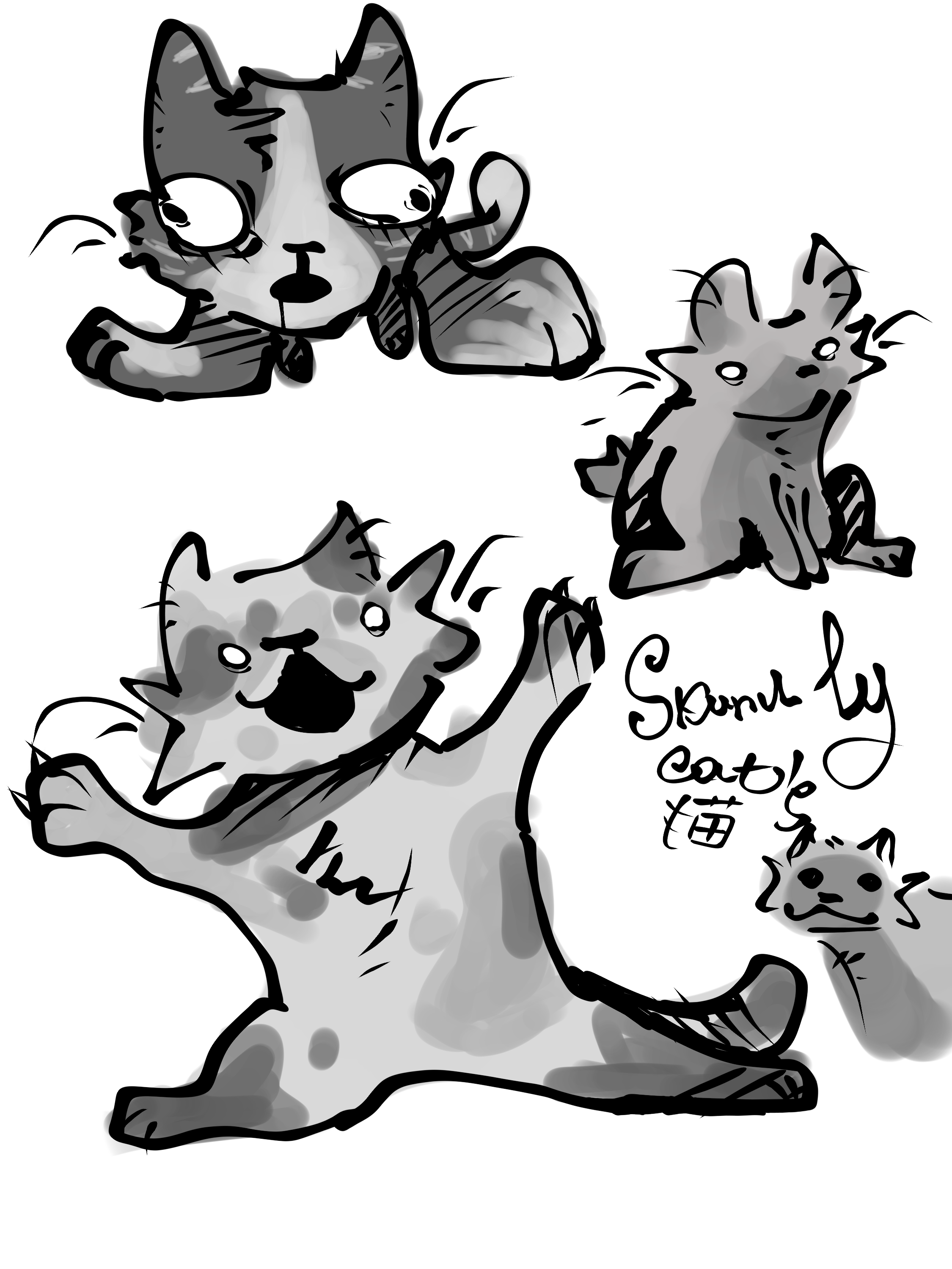 Skrunkly cats - ibisPaint