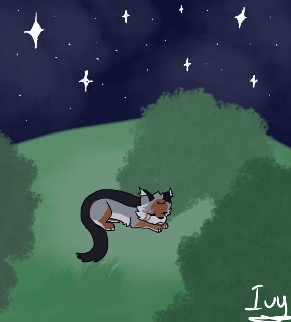 @Ravage_the_wolf - ibisPaint