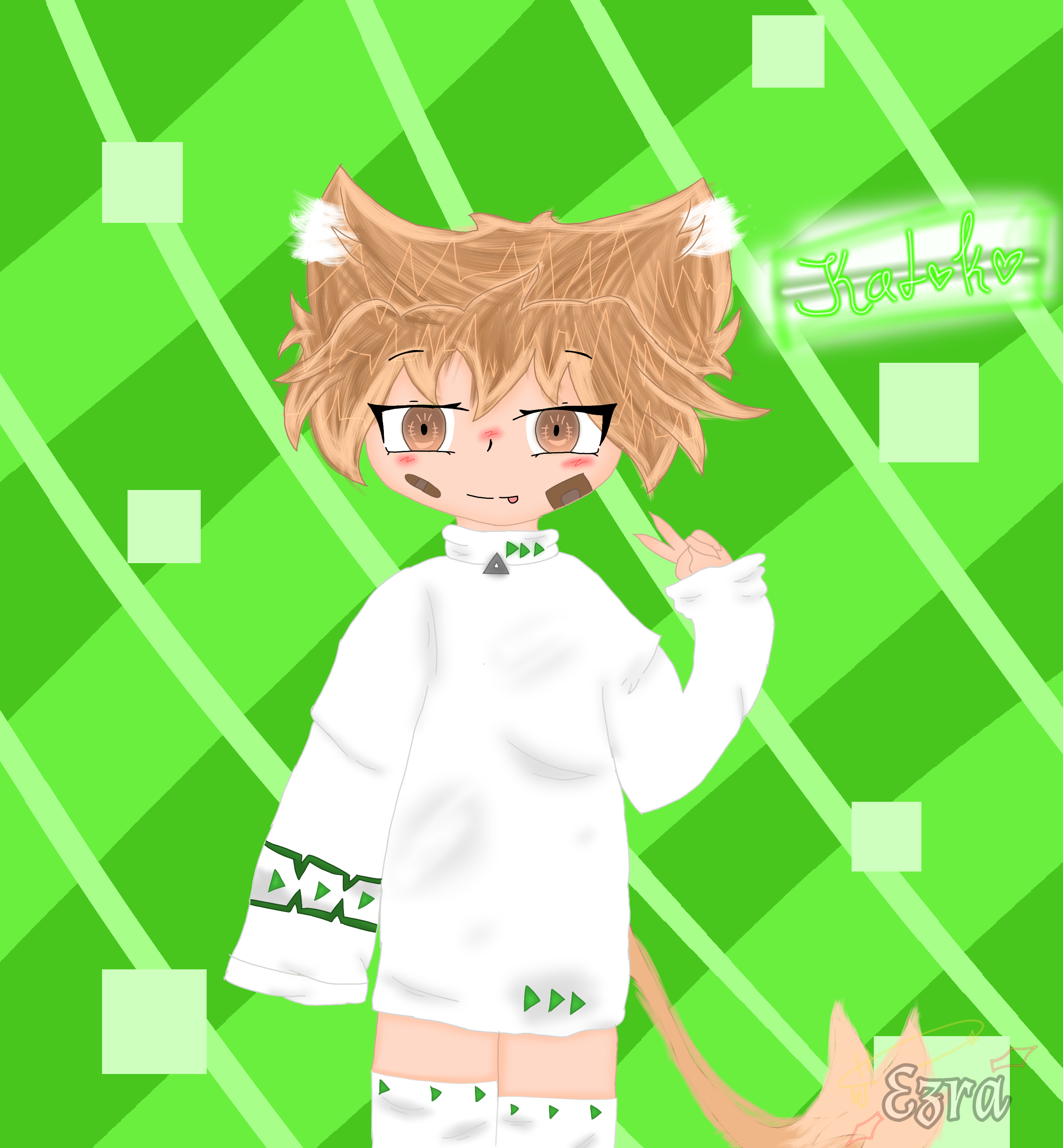 Katoko🌠 DTIYS - ibisPaint