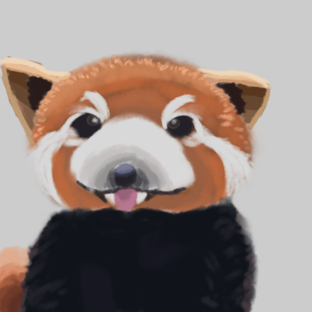 red_panda - ibisPaint