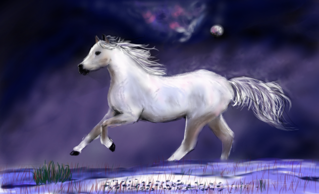 night mare - ibisPaint