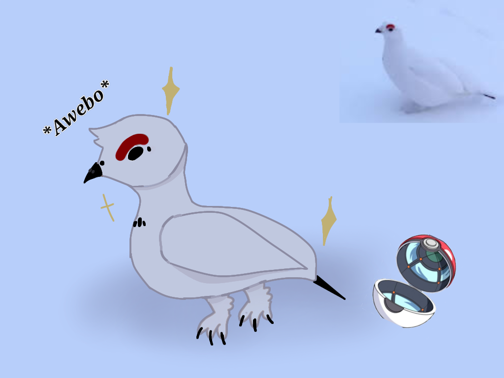 Awebo bird ☆~ - ibisPaint