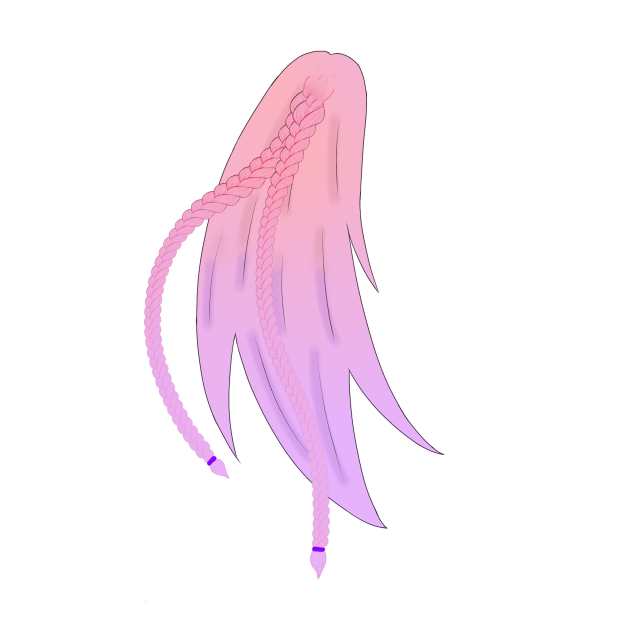 Just testing braids - ibisPaint