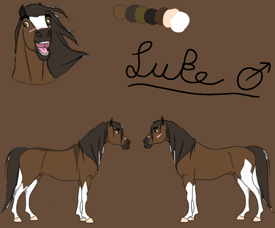 Luke - Reference sheet - ibisPaint