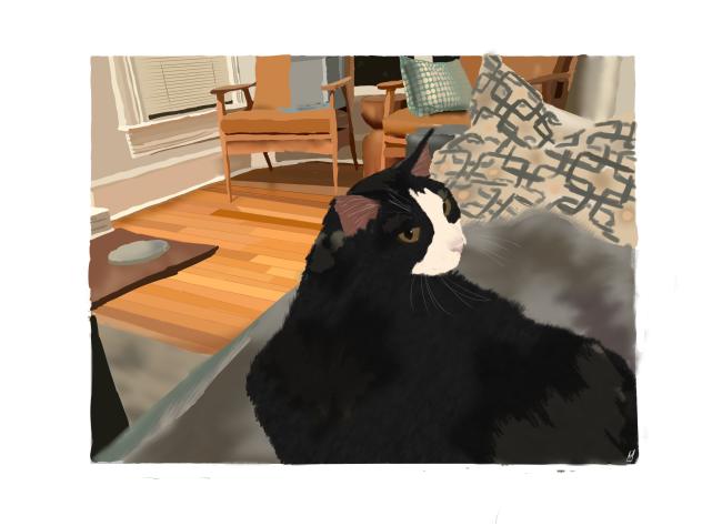 my cat AGAIN - ibisPaint