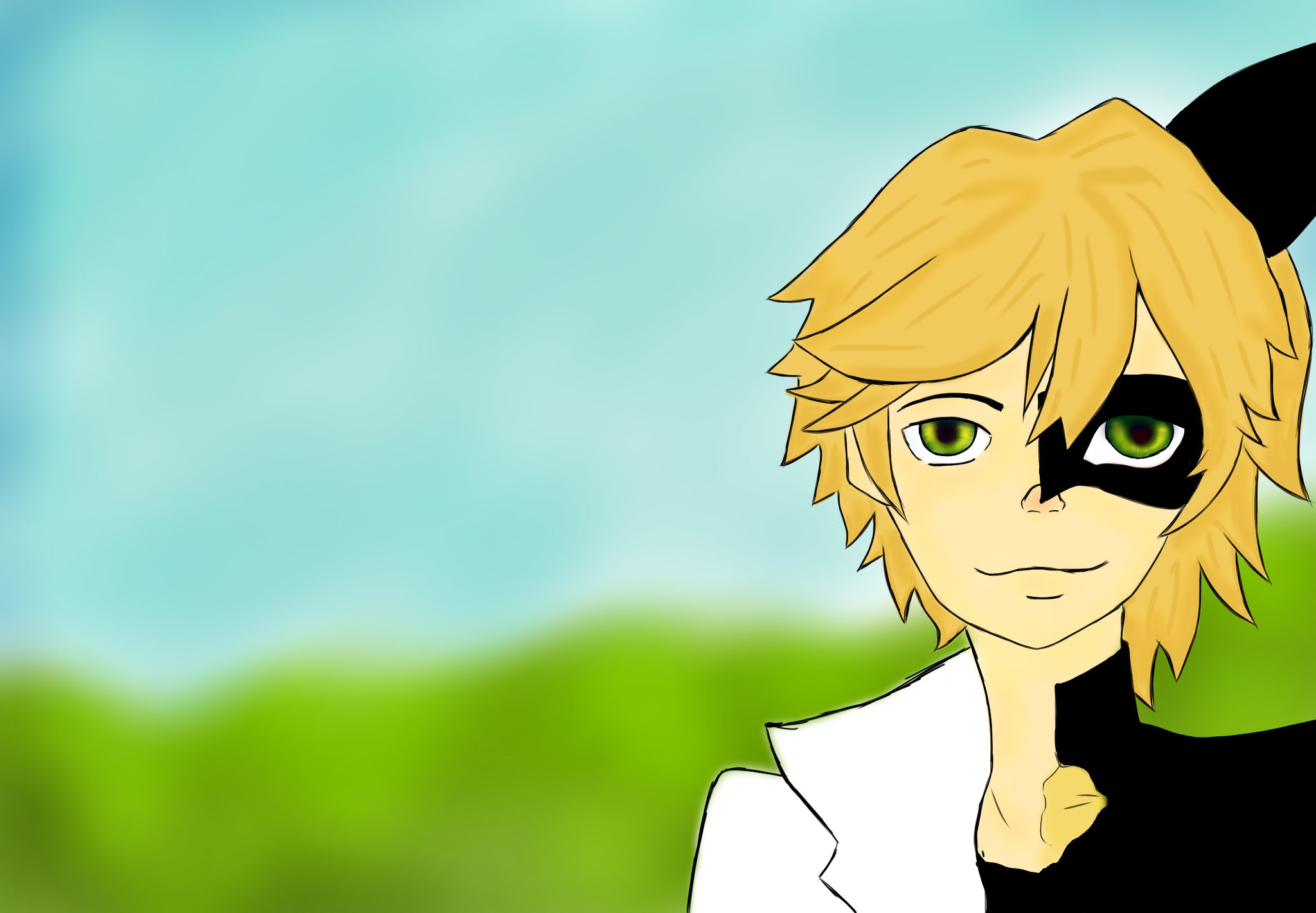 Chat Noir - ibisPaint