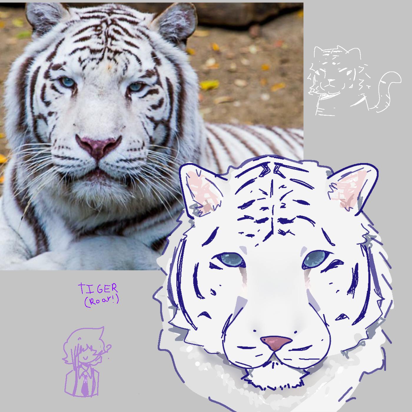 Tiger practice - ibisPaint