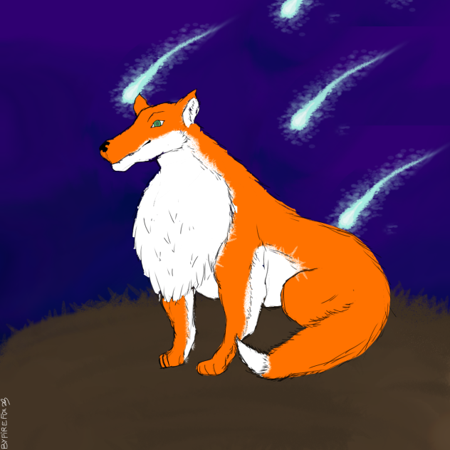 star shower fox - ibisPaint