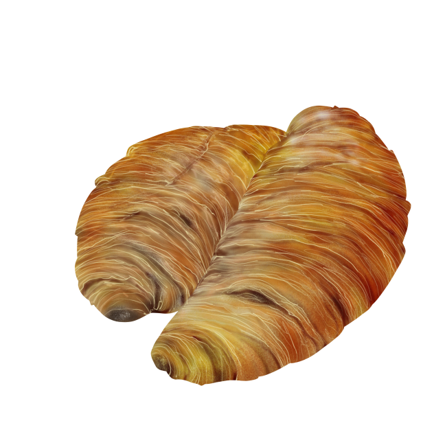 Croissant - ibisPaint