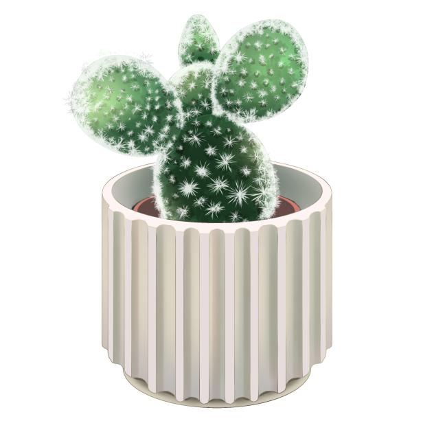 cactus - ibisPaint